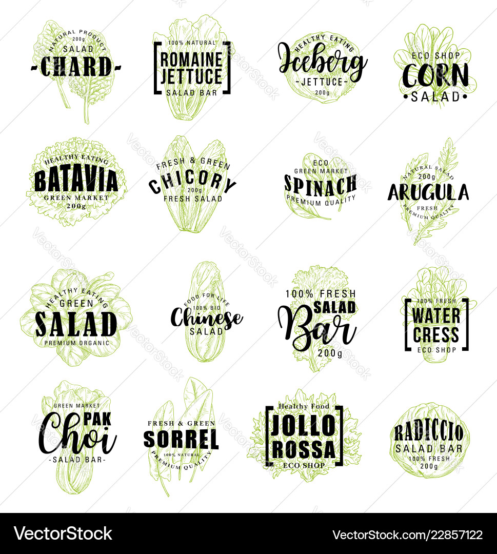 Salads vegetable icons lettering Royalty Free Vector Image