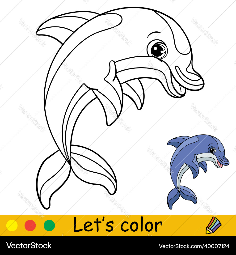 Coloring book dolphin for preschool kids Vector Image
