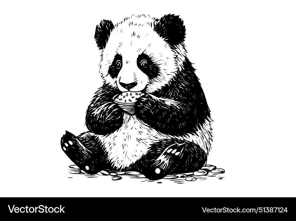 Panda hand drawn ink sketch engraved style Vector Image