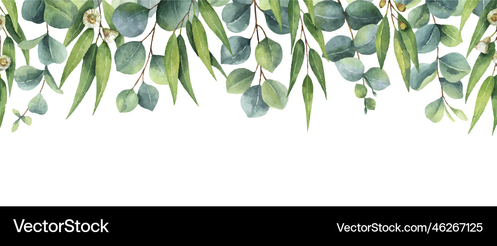 Watercolor eucalyptus green seamless border Vector Image