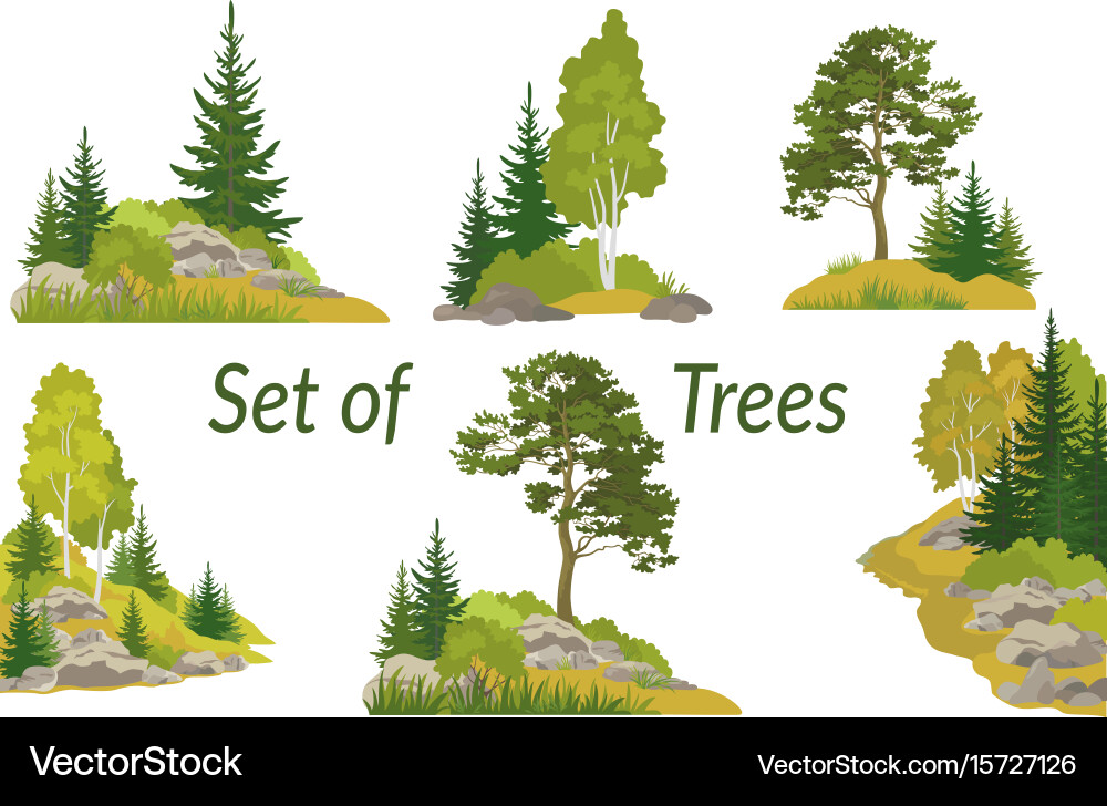 Landscapes with trees and rocks Royalty Free Vector Image