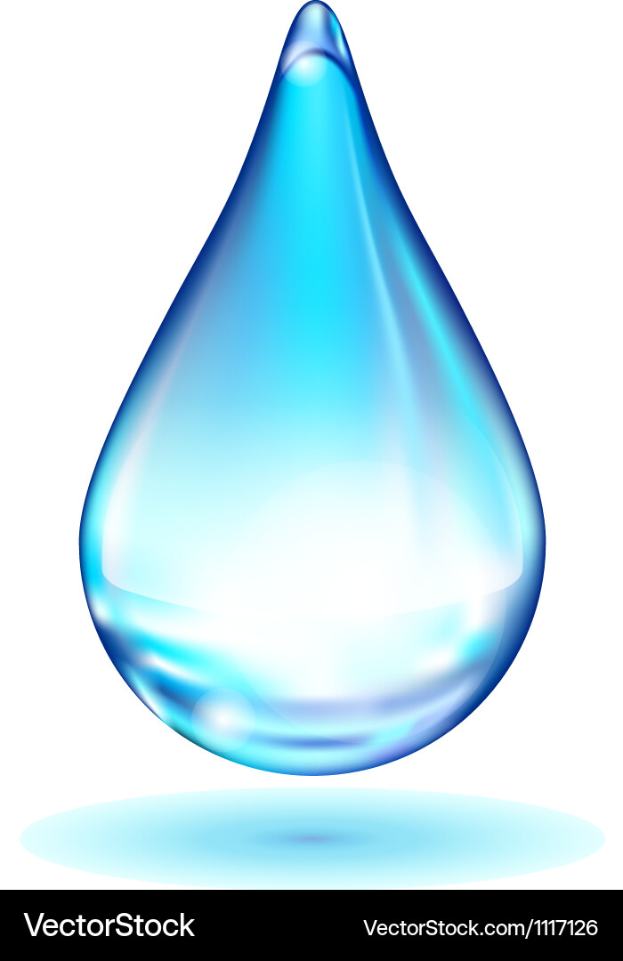 Single Water Drop Royalty Free Vector Image - VectorStock