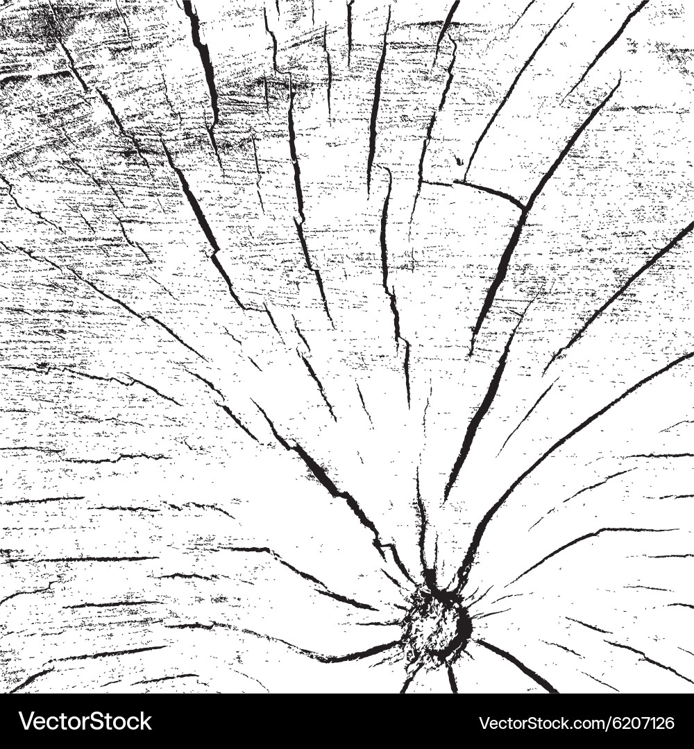 Texture Royalty Free Vector Image - VectorStock