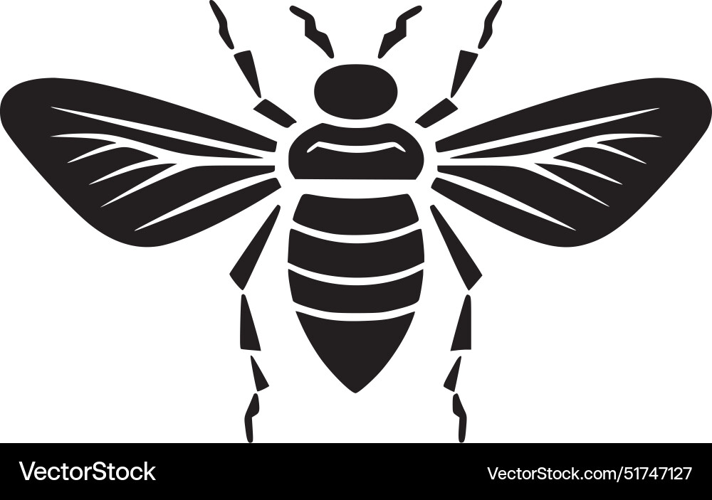 Soar Logo Vector Images (over 3,600)