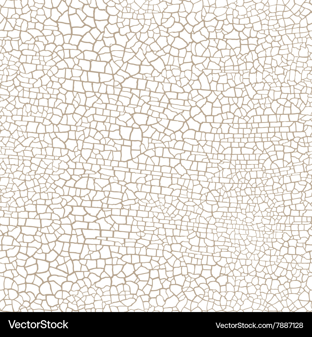 Craquelure seamless pattern on a white background Vector Image