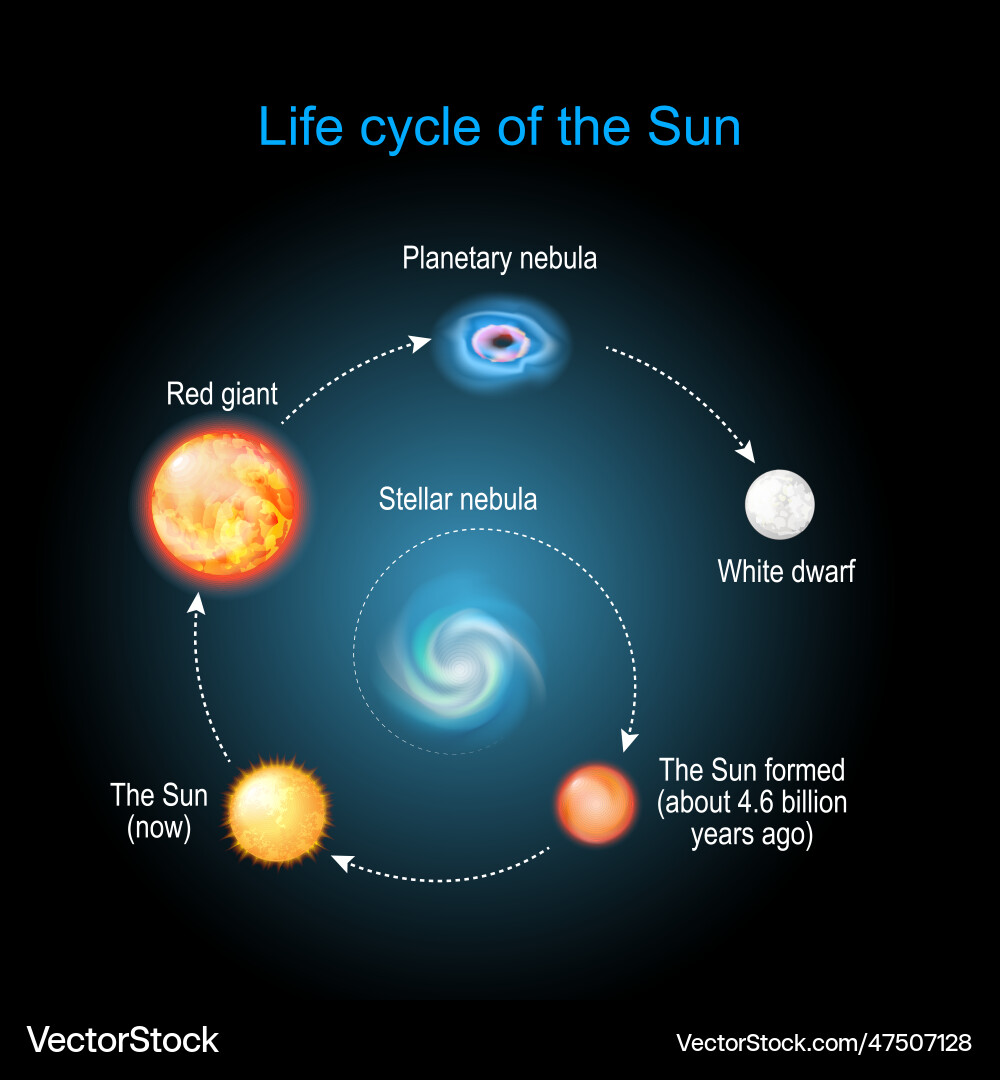 Life cycle of the sun Royalty Free Vector Image