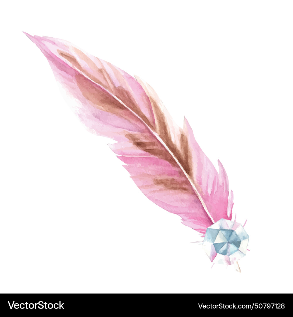 Watercolor composition from pale pink feather Vector Image