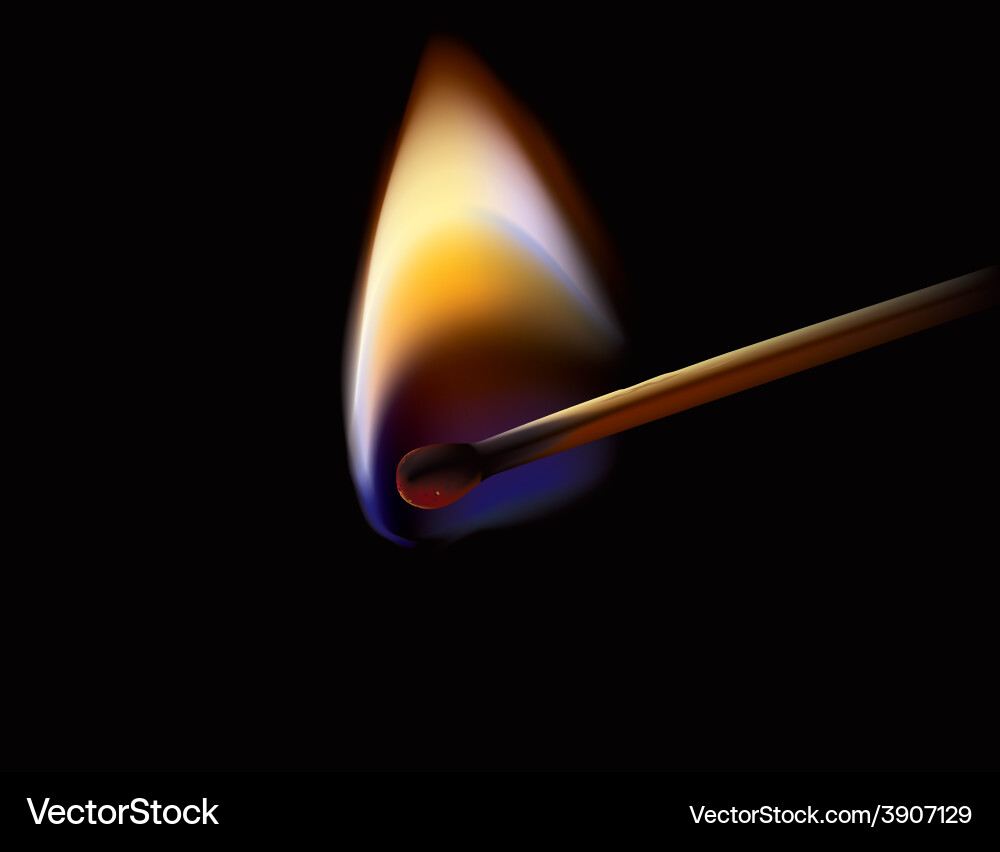 Burning match Royalty Free Vector Image - VectorStock