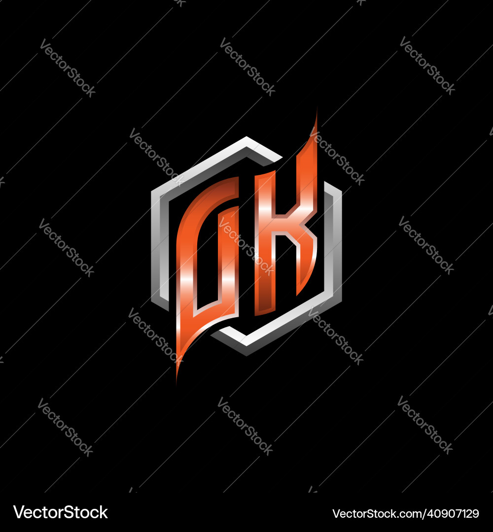 Dk monogram geometric orange with hexagonal Vector Image