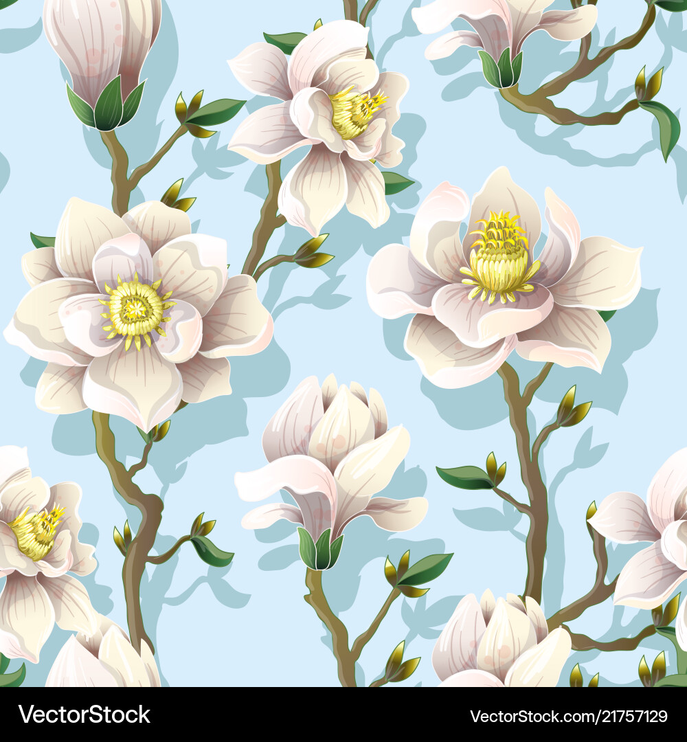 Magnolia Flower Seamless Pattern Royalty Free Vector Image