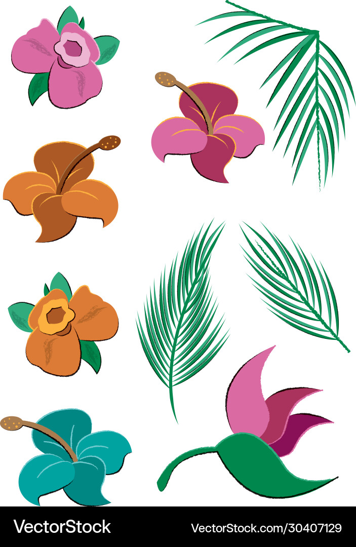 Tropical flowers and leaves Royalty Free Vector Image