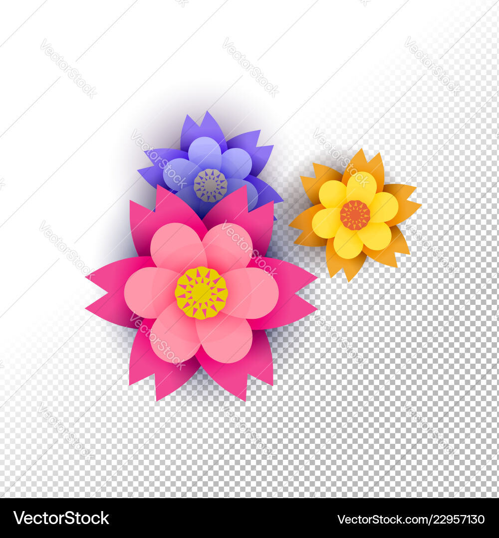 Color paper cut flower set on isolated background Vector Image