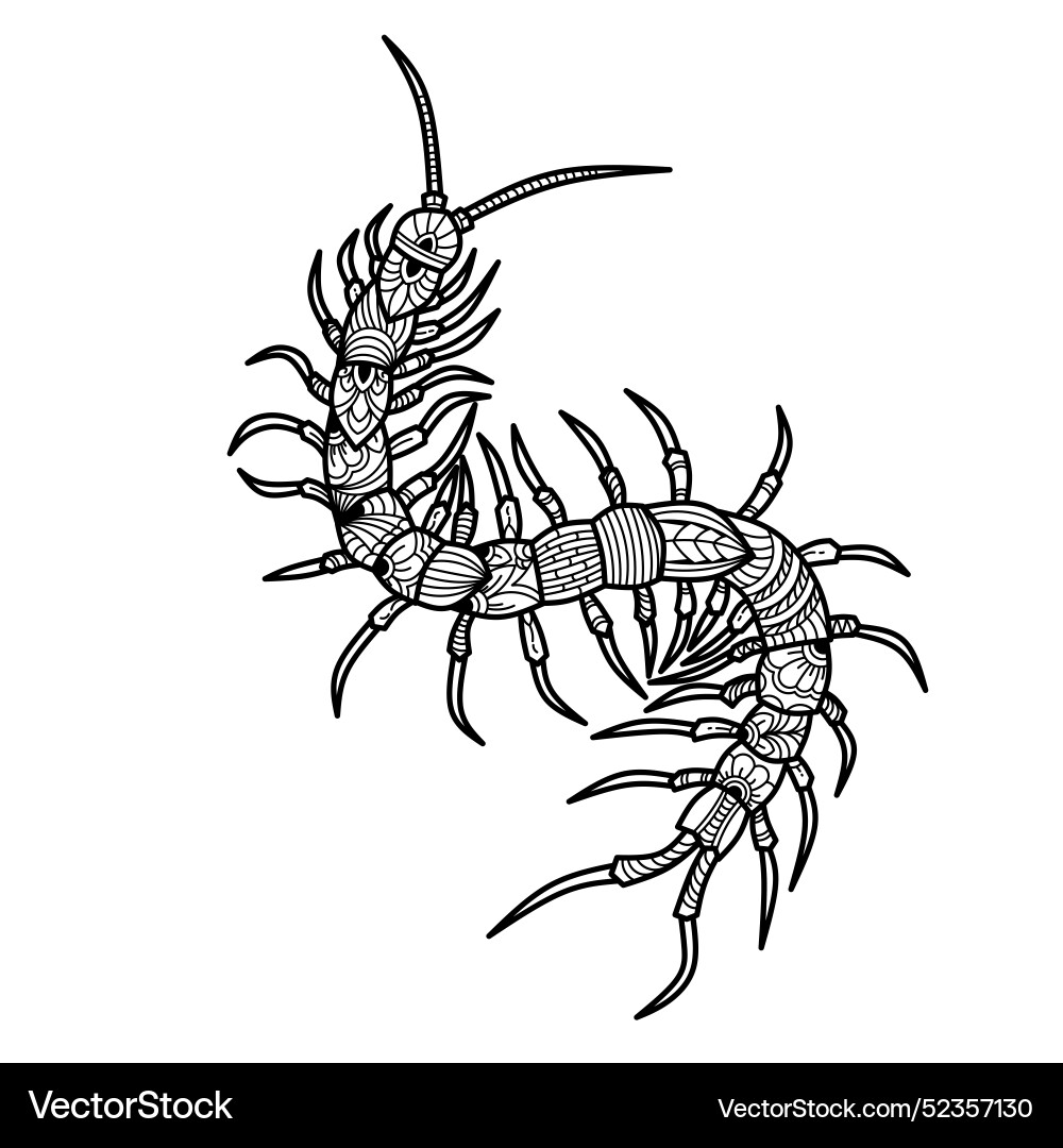 Hand drawn of centipede in entangle style Vector Image