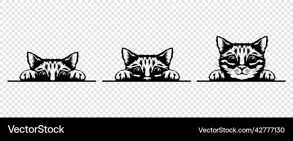 Monochrome hand drawm black white hiding Vector Image