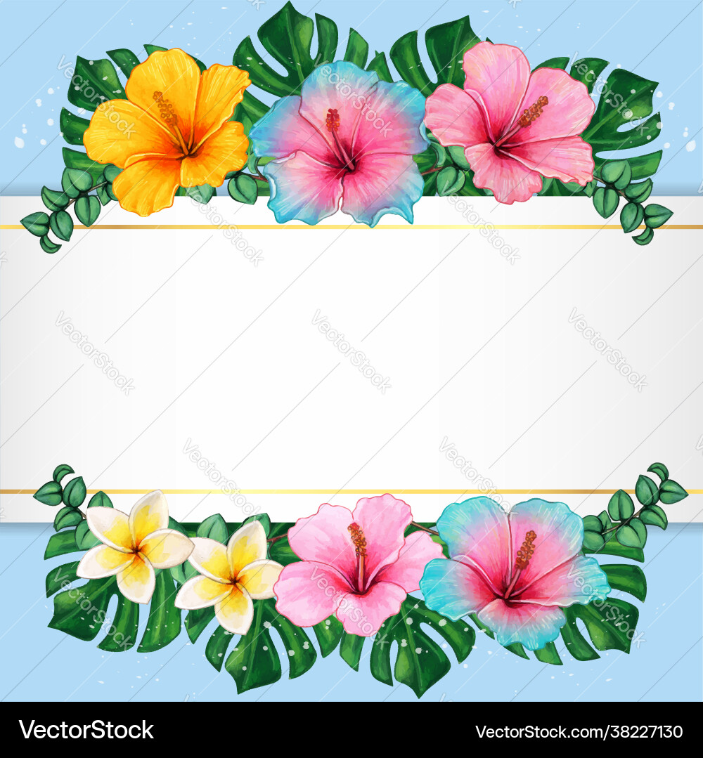 Tropical Hibiscus Flowers Royalty Free Vector Image