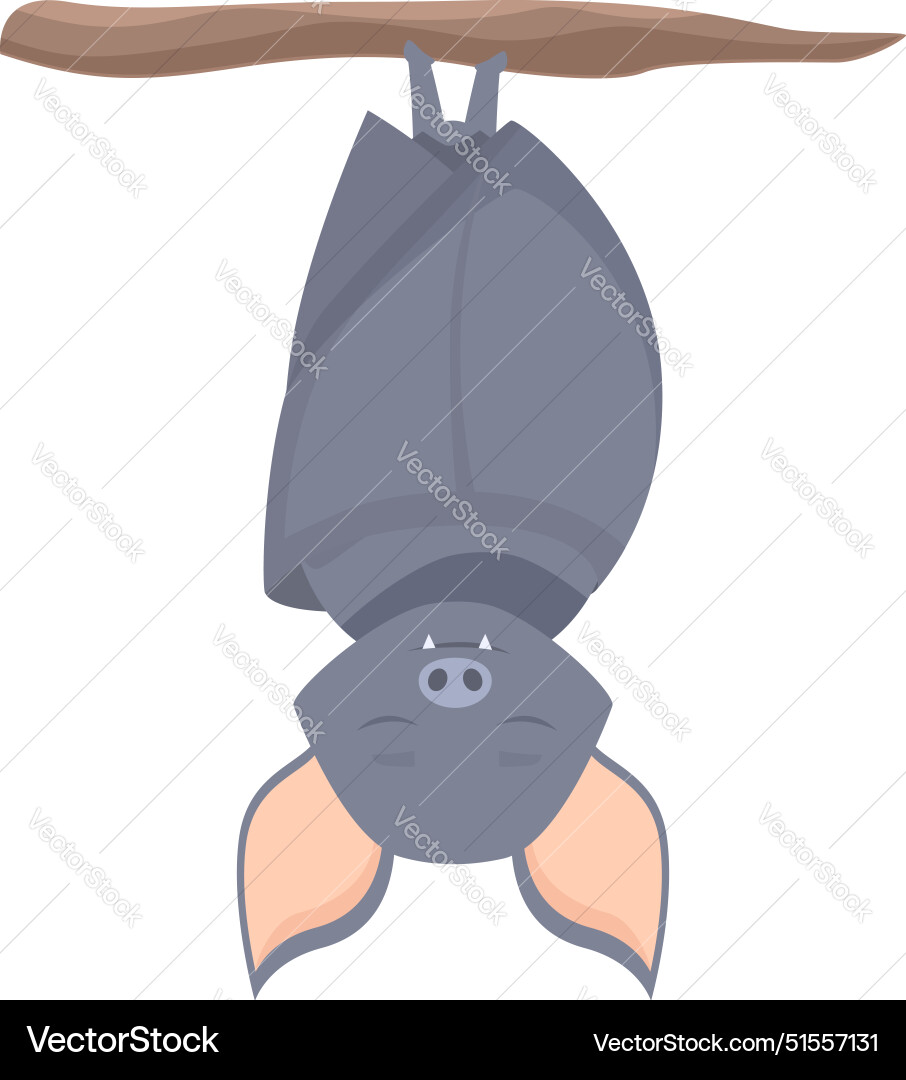 Cute grey bat hanging upside down on a tree branch