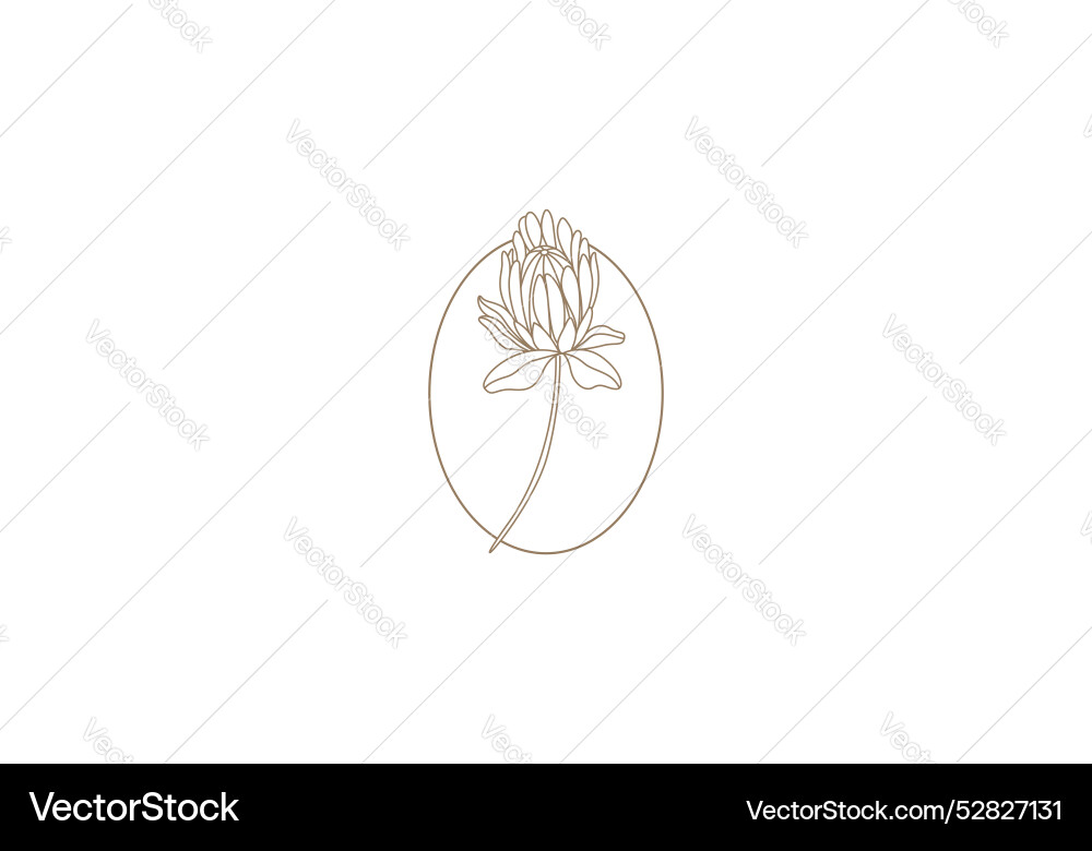 Logo protea flowerfeminism minimalist modern Vector Image