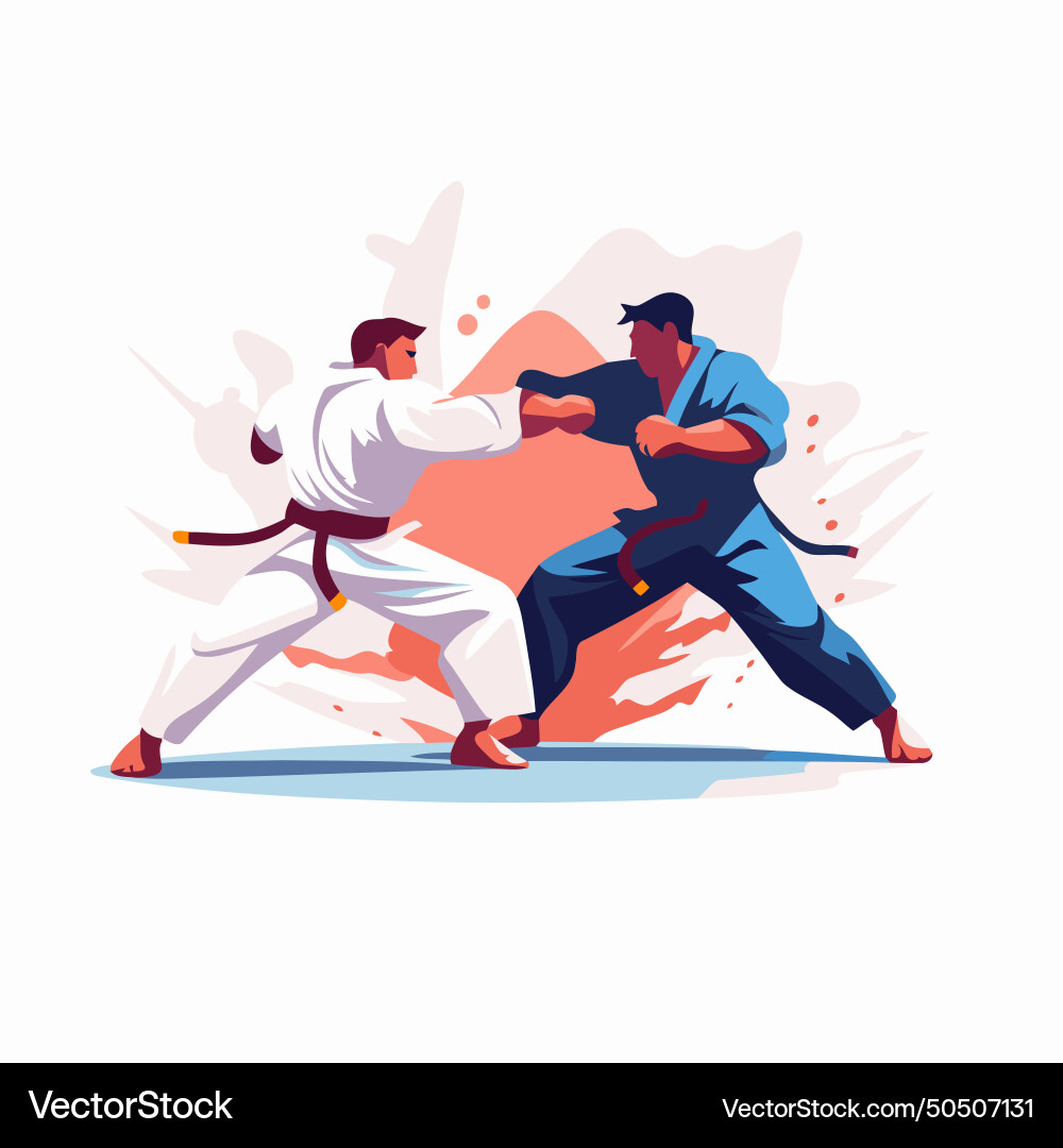 Tae kwon do fighters in flat cartoon style Vector Image