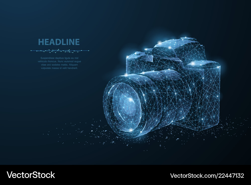 Camera abstract 3d polygonal wireframe modern Vector Image