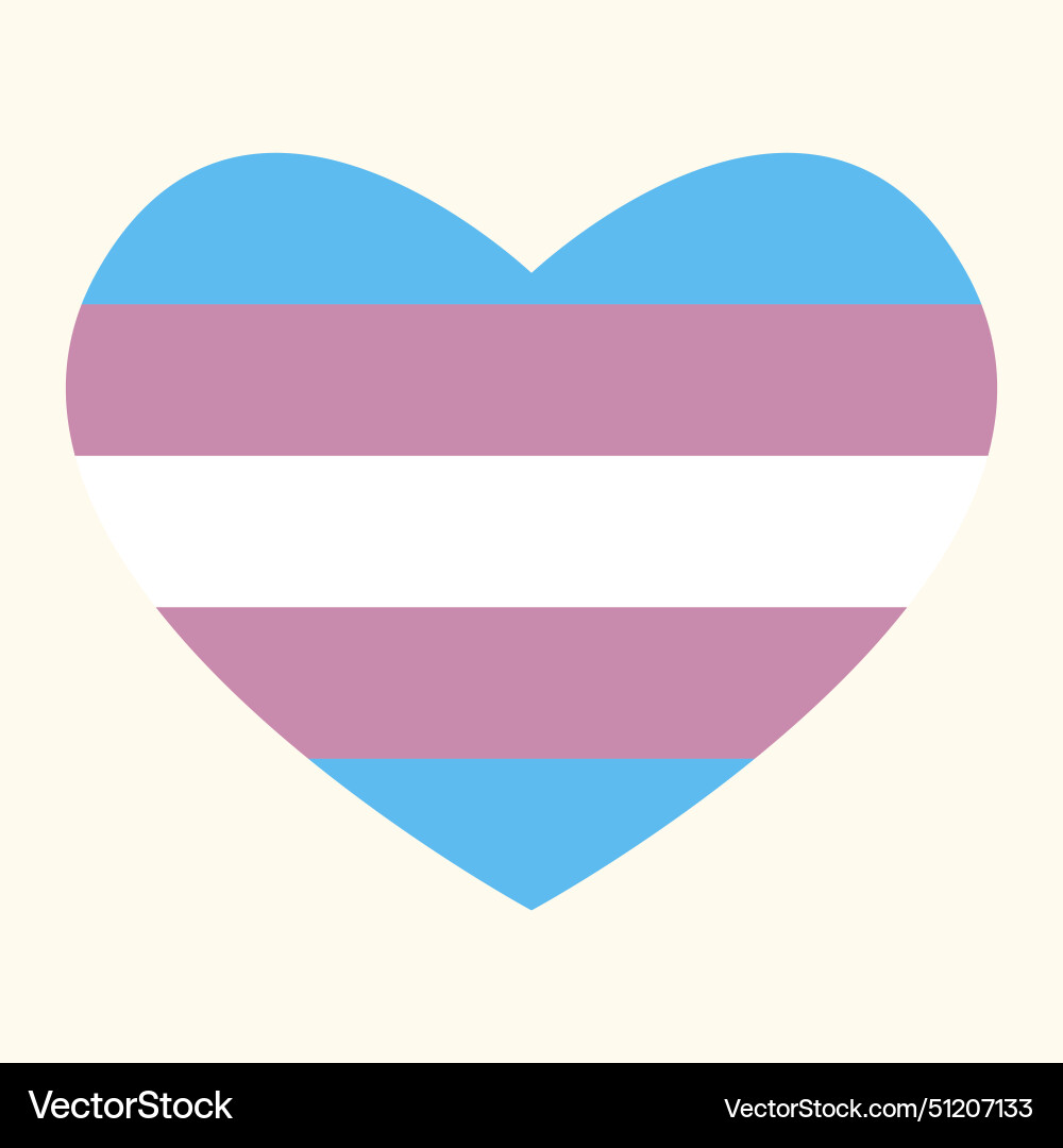 Heart with transgender flag pride month concept Vector Image
