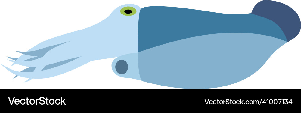 Squid flat icon Royalty Free Vector Image - VectorStock