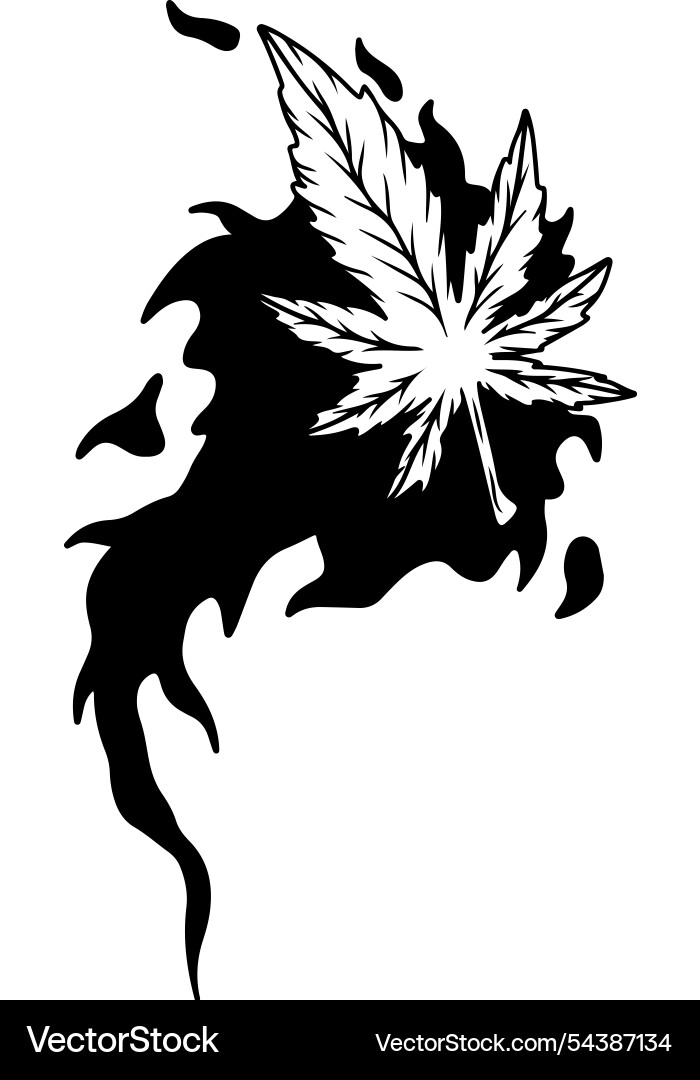 Weed burn Royalty Free Vector Image - VectorStock