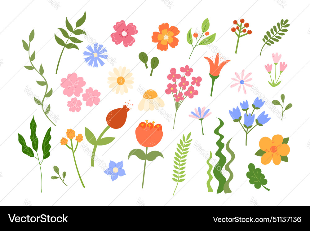 Cute flowers and leaves set Royalty Free Vector Image