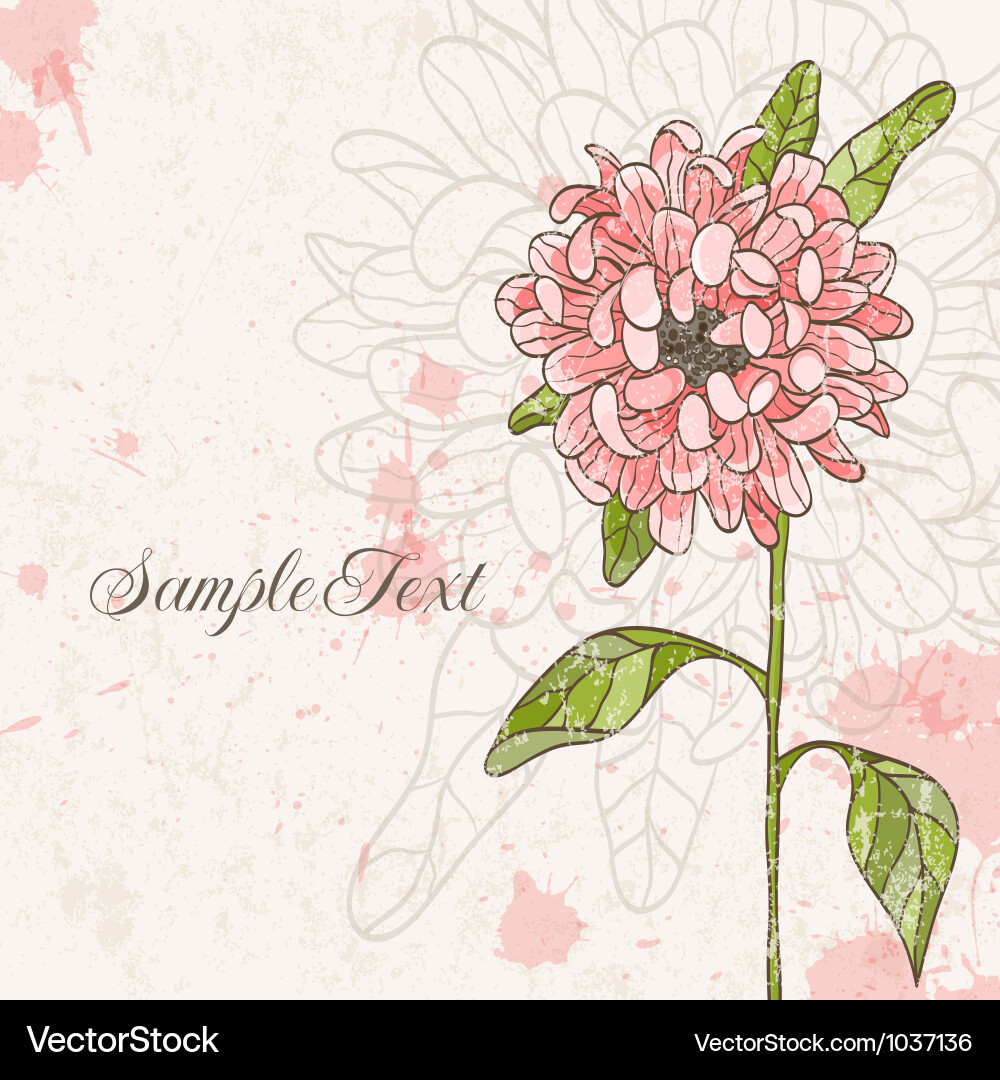 Hand drawn flower Royalty Free Vector Image - VectorStock
