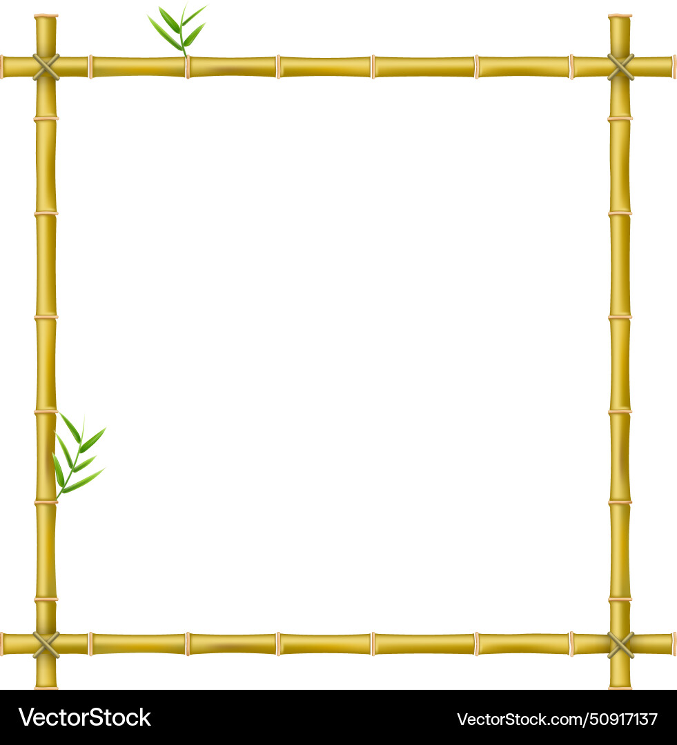 Bamboo wooden squared frame with green leaves Vector Image