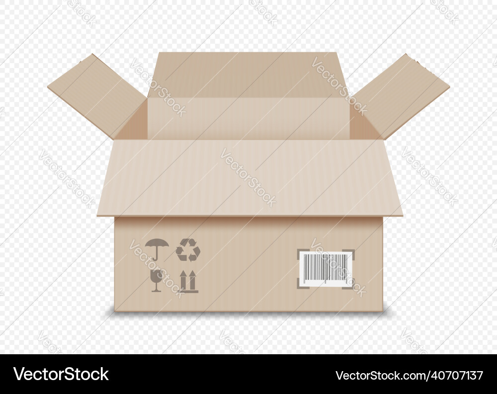Cardboard box template carton isolated Royalty Free Vector