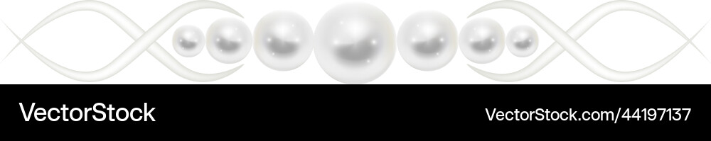 Pearl divider decorative bead wedding card border Vector Image