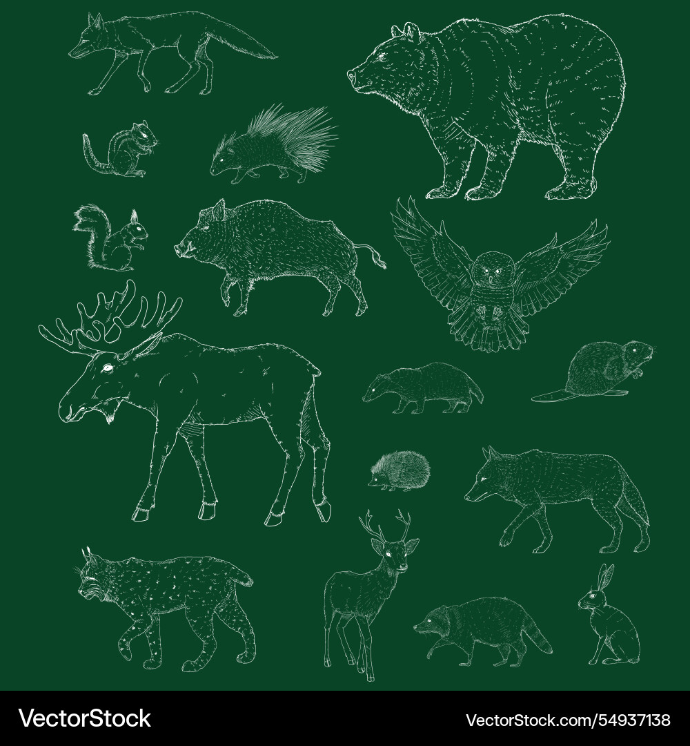 Chalk sketch set of forest animals Royalty Free Vector Image