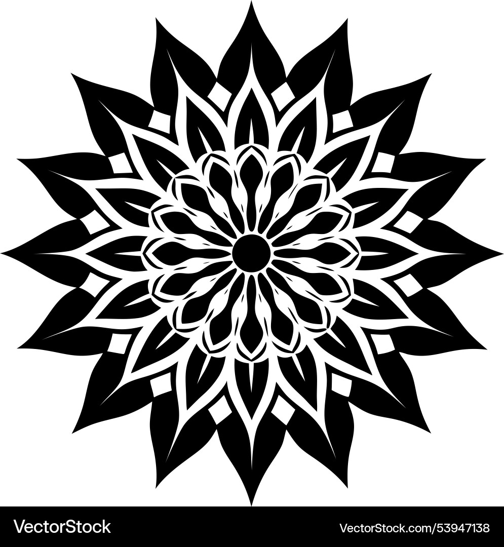 Intricate mandala design Royalty Free Vector Image