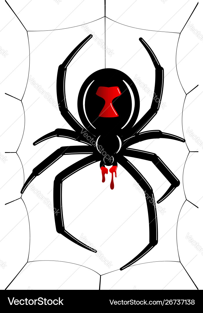 Spider black widow cobweb red 3d Royalty Free Vector Image