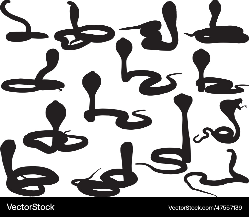 Cobra snakes silhouette Royalty Free Vector Image