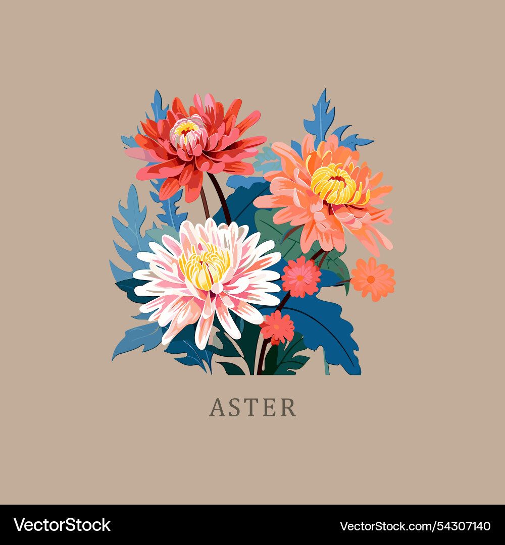 Aster september birth month flower flowers Vector Image