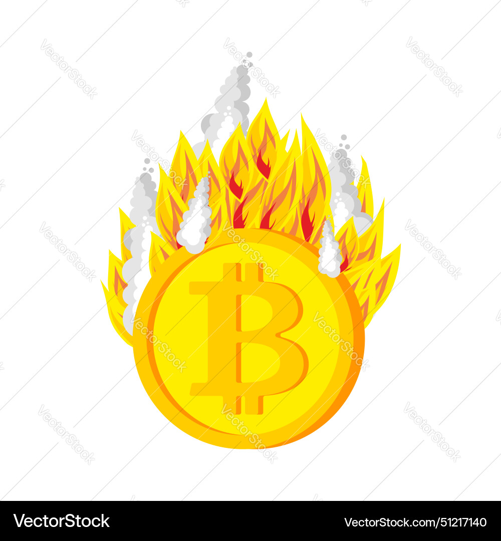 Bitcoin burning coins tokens Royalty Free Vector Image
