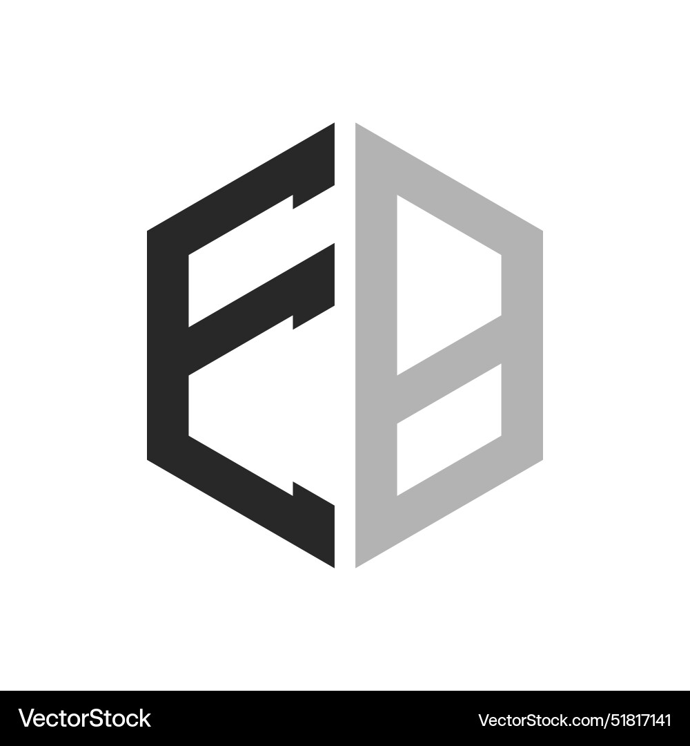 Modern unique hexagon letter logo design Vector Image