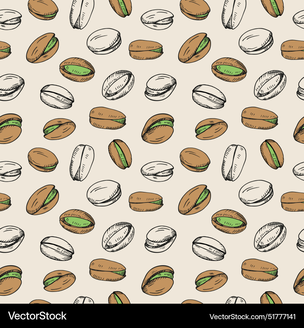 Pistachios nuts seamless pattern hand drawn Vector Image