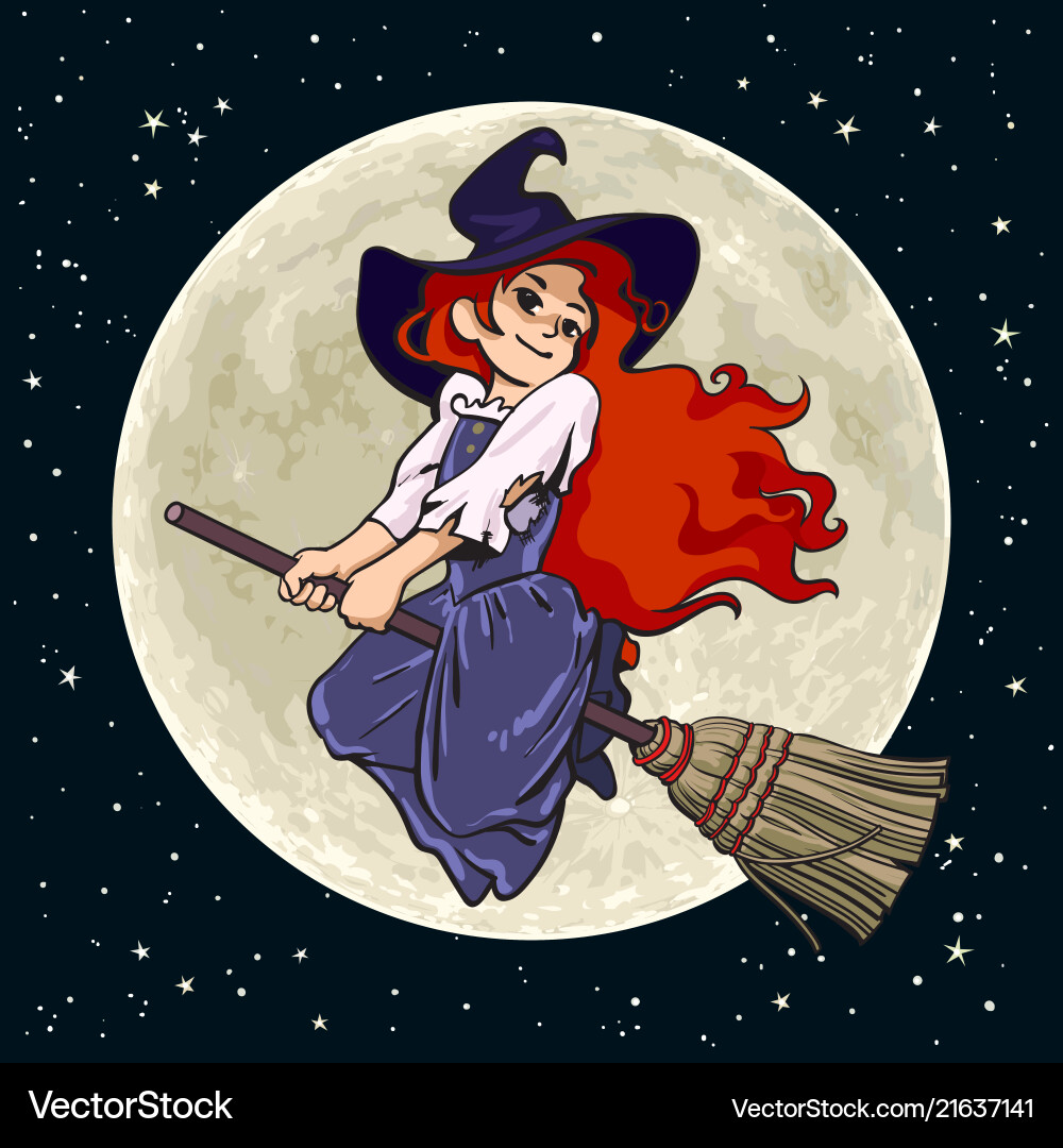 Pretty young witch flying on broom stick full Vector Image