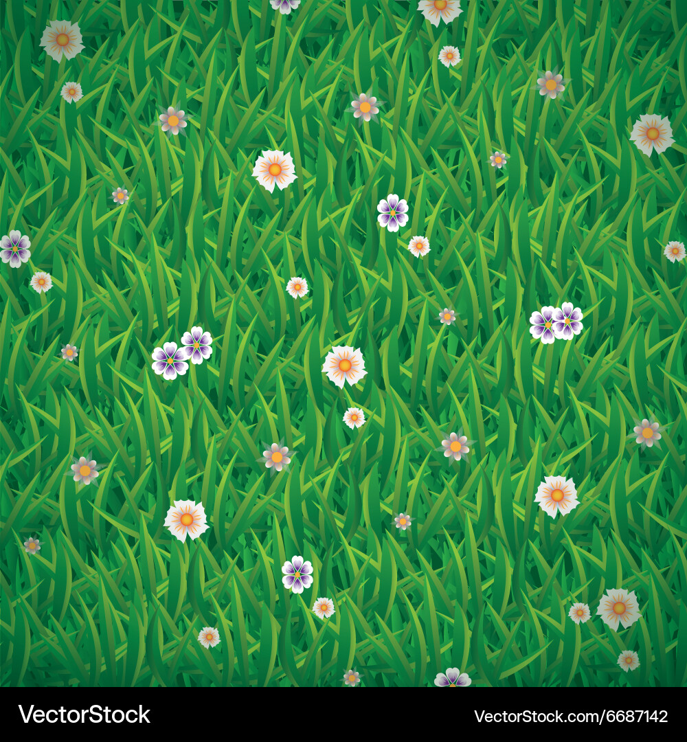 Green grass background Royalty Free Vector Image