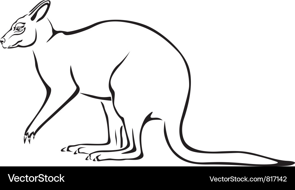 Kangaroo Royalty Free Vector Image - VectorStock