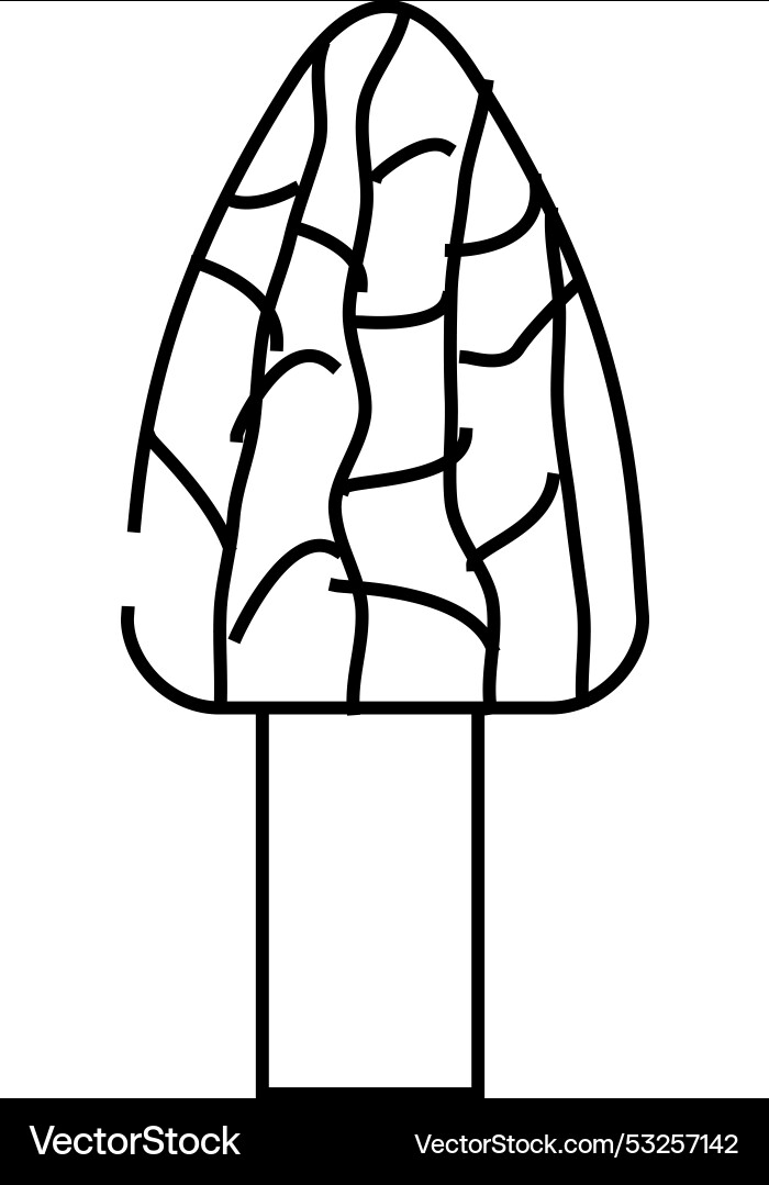 Morel mushroom line icon Royalty Free Vector Image