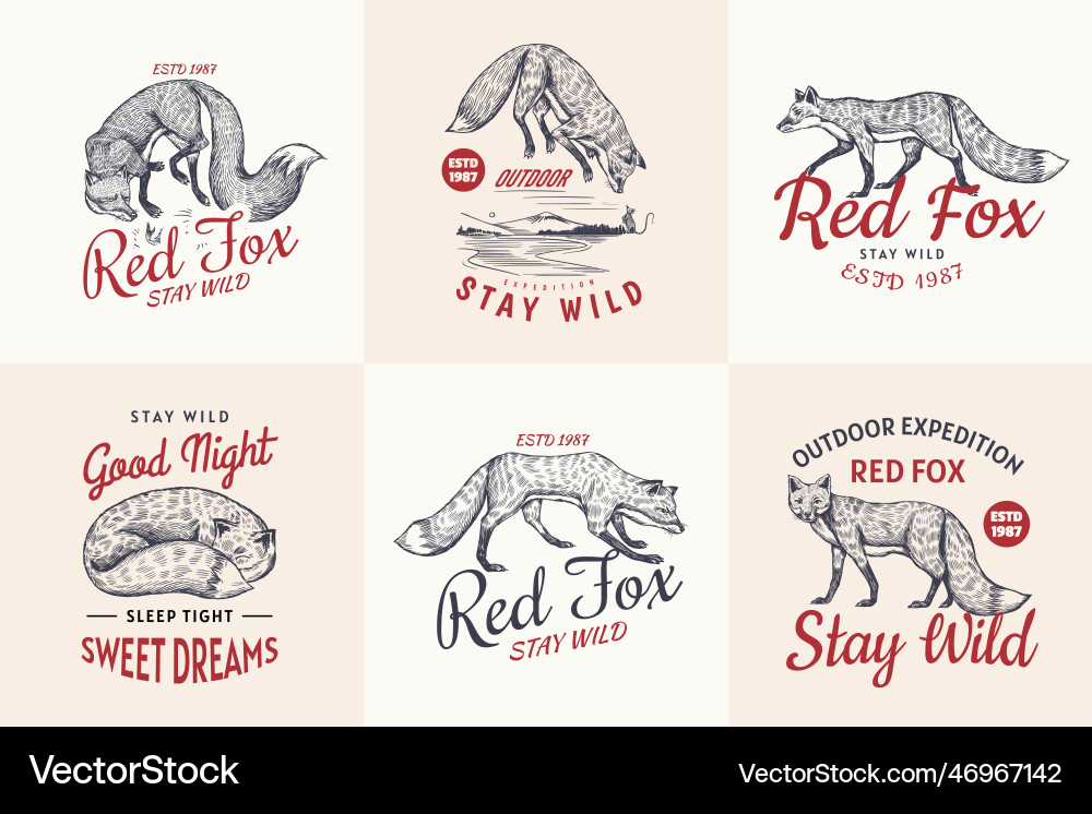 Red fox badges set forest ginger wild animal Vector Image