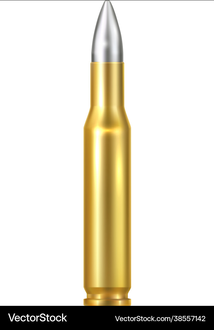 Rifle shell Royalty Free Vector Image - VectorStock