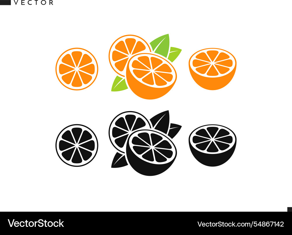 Sliced Orange Fruits Royalty Free Vector Image