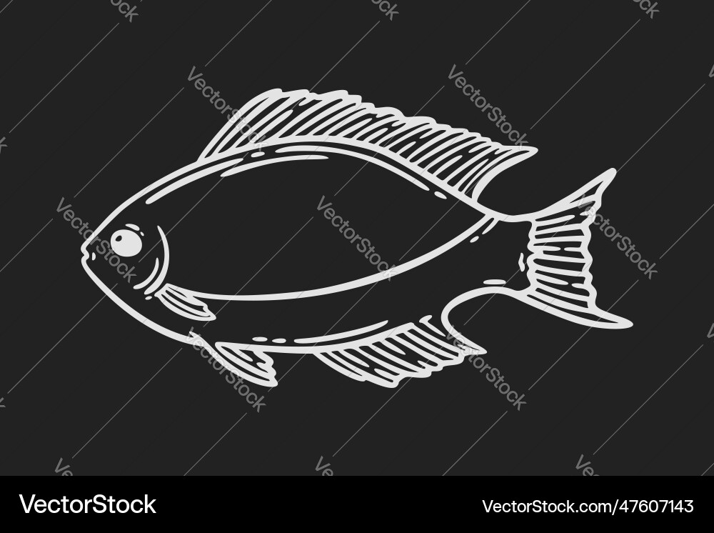 Fish sketch hand drawn Royalty Free Vector Image