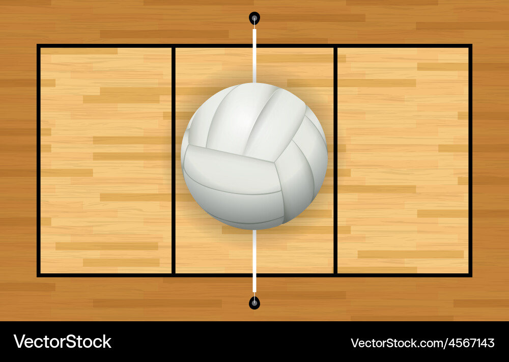 Volleyball court and Royalty Free Vector Image