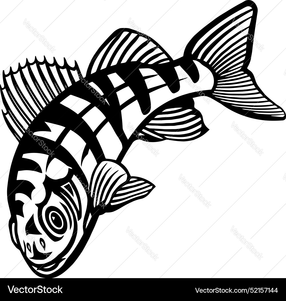 Perch - american fishes logo fish Royalty Free Vector Image