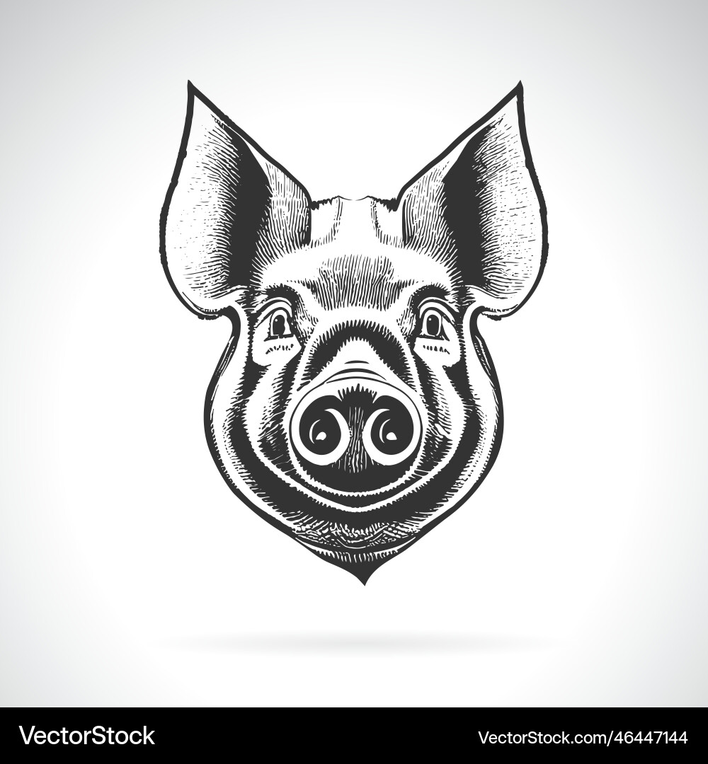 Pig head design on white background easy editable Vector Image
